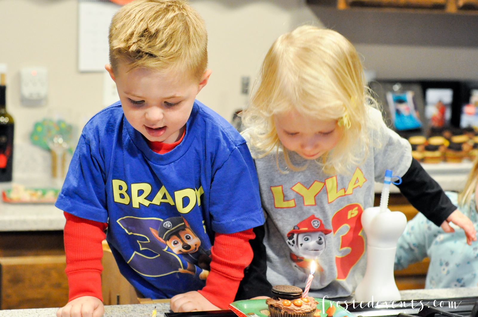 Paw Patrol Party Ideas Paw Patrol Birthday Party Inspiration Via 