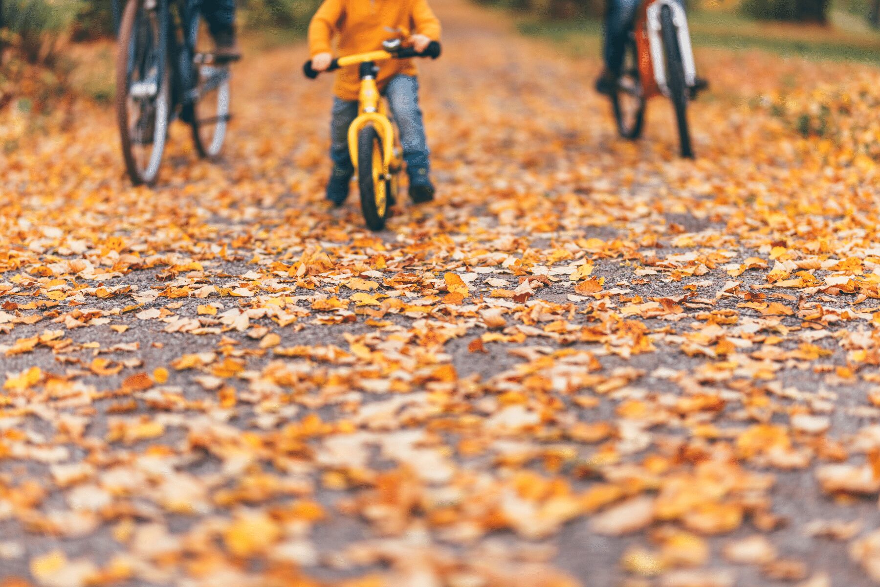 1000 Hours Outside Challenge - Spending More Time Outdoors