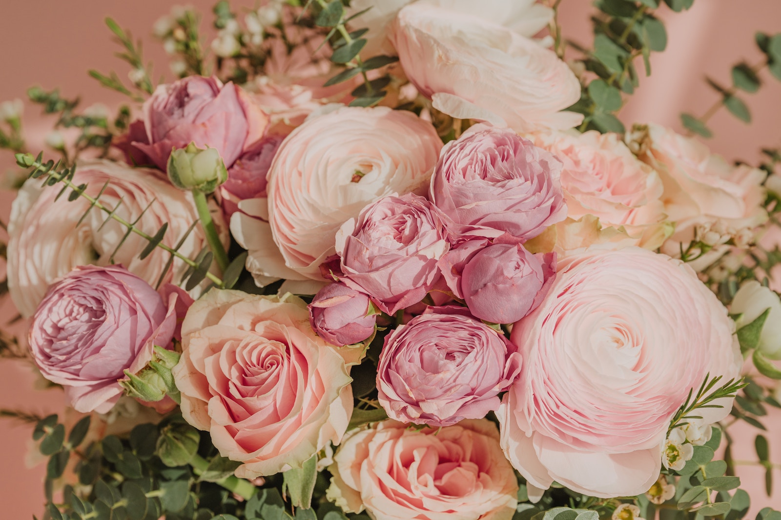 Pink Peonies - The Secrets to Growing Picture-Perfect Blooms